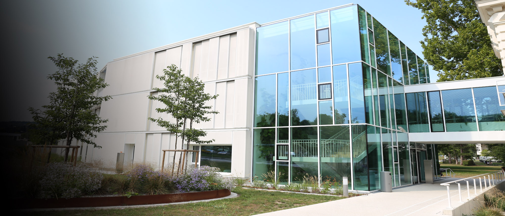 ISTA | Karriere in Administration und Scientific Services